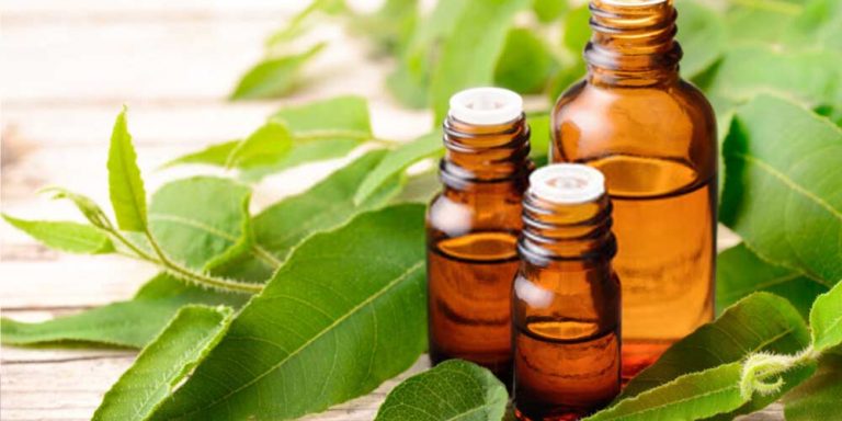 10 Essential Oils That Can Treat Ear Pain - Pristyn Care