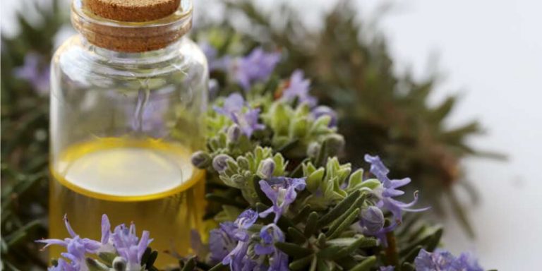 10 Essential Oils That Can Treat Ear Pain - Pristyn Care