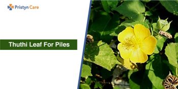 Thuthi Leaf for Piles - Ways to use and its Benefits