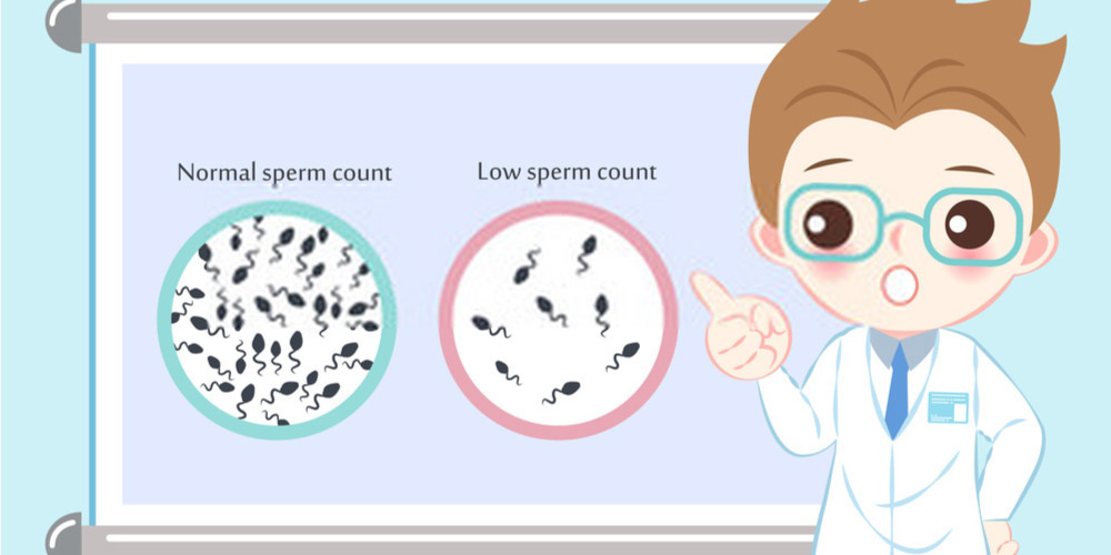 Varicocele And Sperm Count How Varicocele Affects The Sperm Count