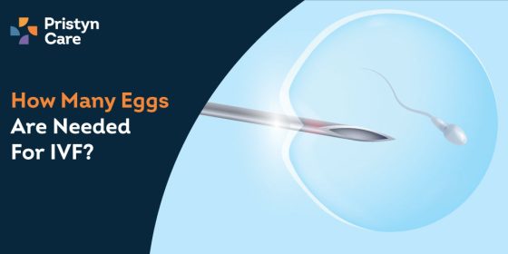 How Many Eggs Are Needed For IVF? - Pristyn Care