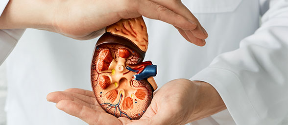 Ureterolithotomy Treatment - Lowest Cost Estimate